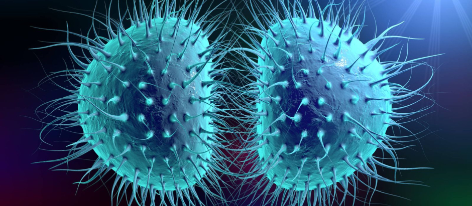 Se cumple un nuevo récord de infecciones de transmisión sexual en España