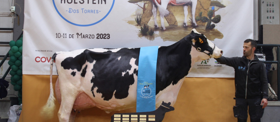 La XV Feria de Ganado Frisón Usías Holsteins atrae público de España y ...