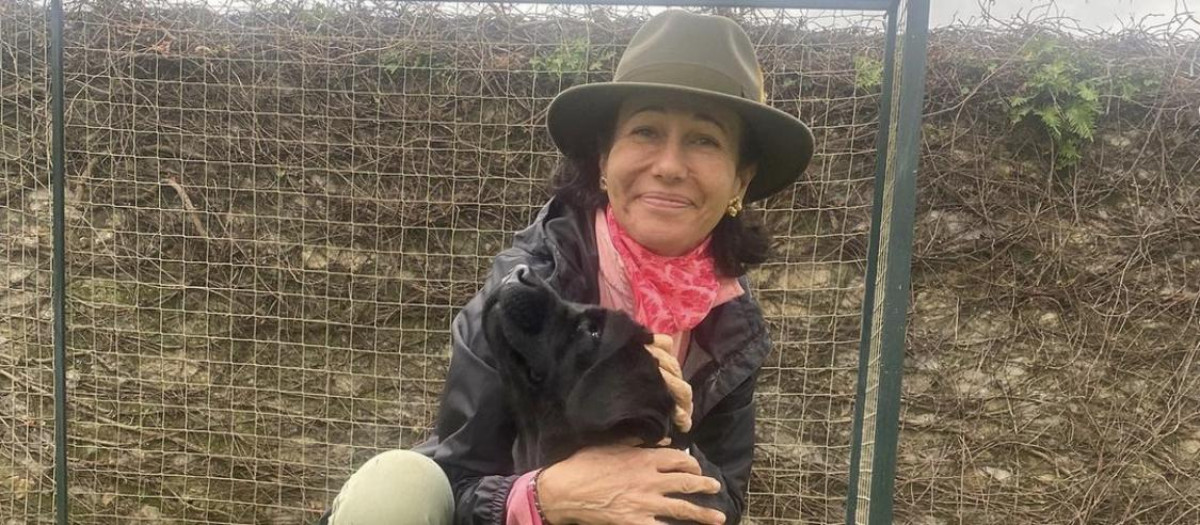 La gran boda que reúne a la familia Botín este sábado