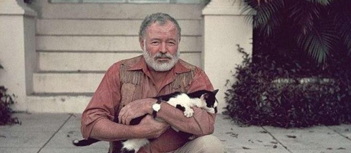 La extraña reacción de Hemingway con quien escribía sobre sus temas habituales como el boxeo o ...