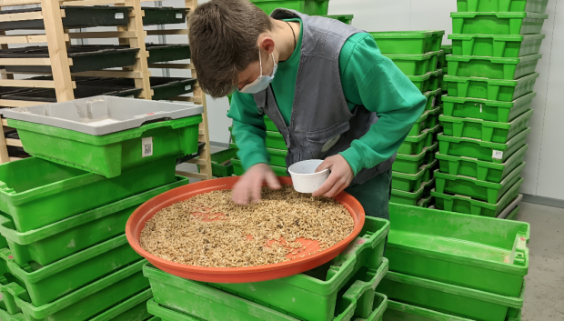 El planeta abandona la deriva 'woke' de las granjas de insectos ...