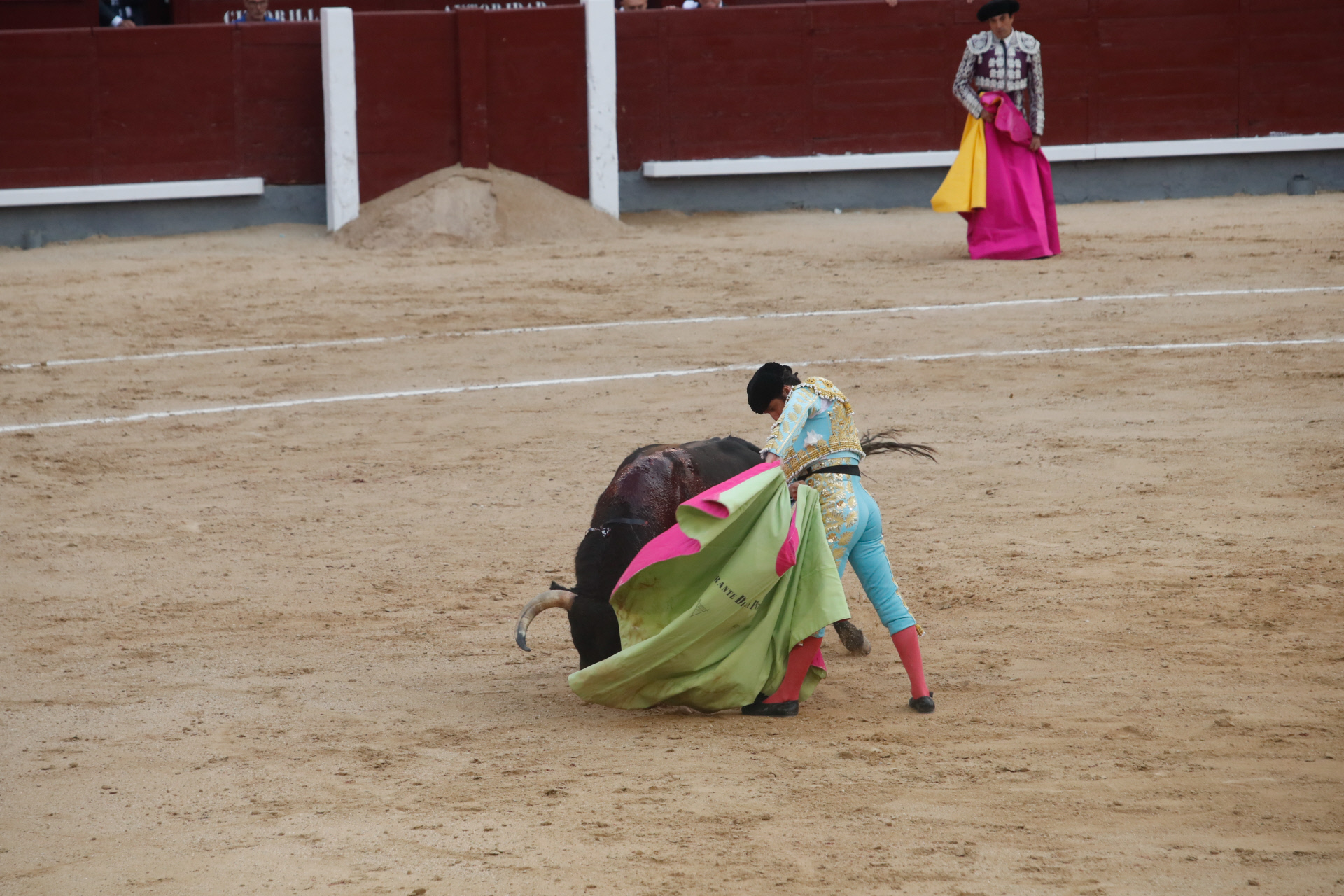 ¿Por qué la muleta del torero es roja y el capote rosa?