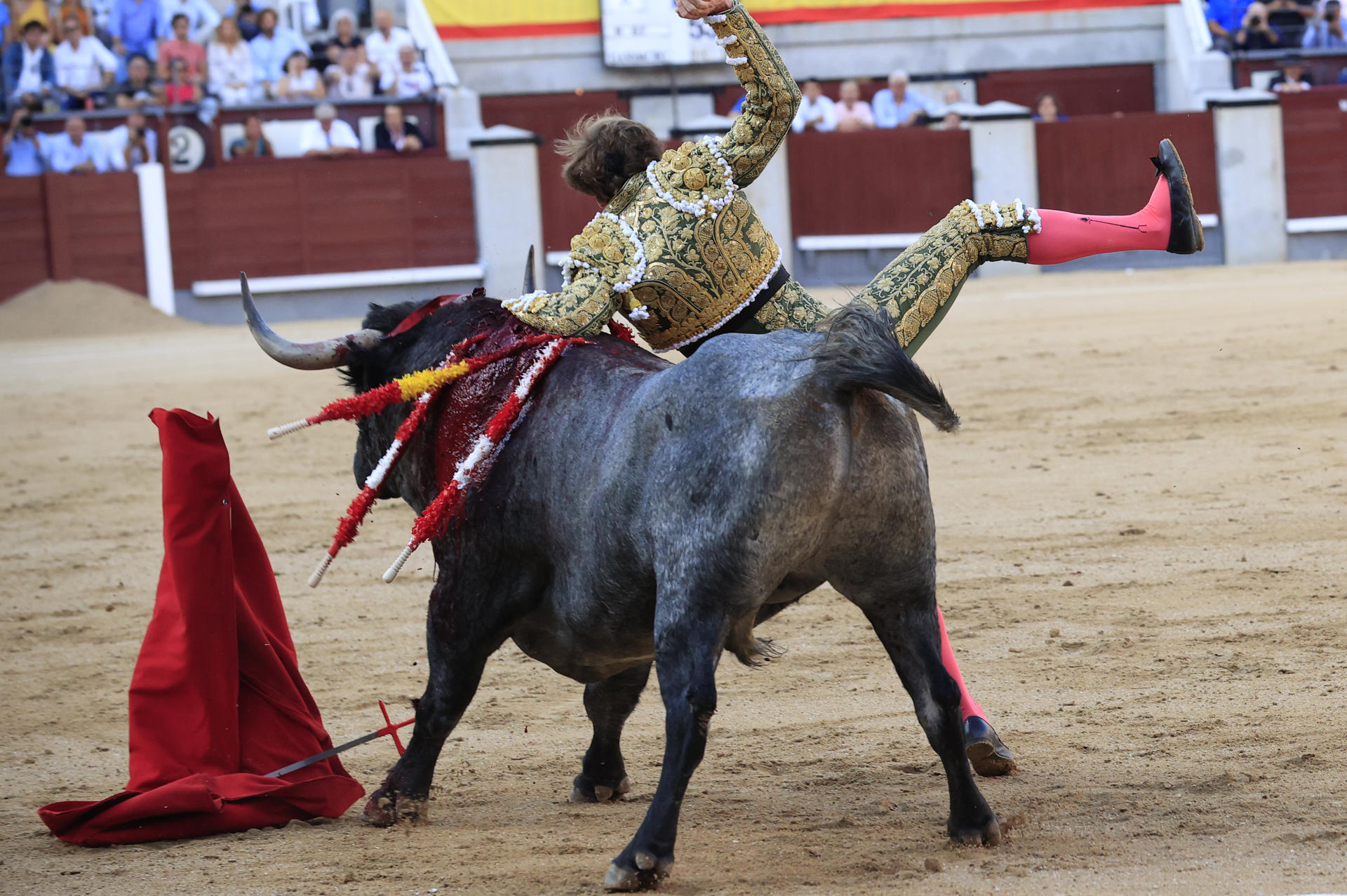 Toros: Grave cogida de Román en Las Ventas
