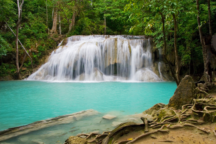 Los bosques más bellos del mundo según National Geographic