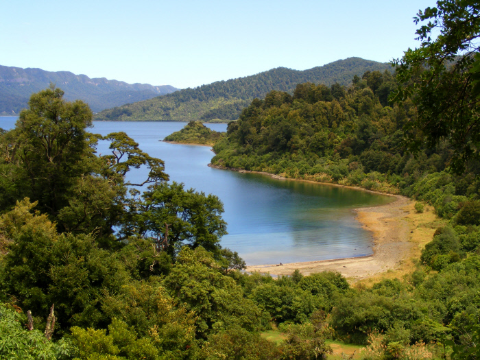 Los bosques más bellos del mundo según National Geographic