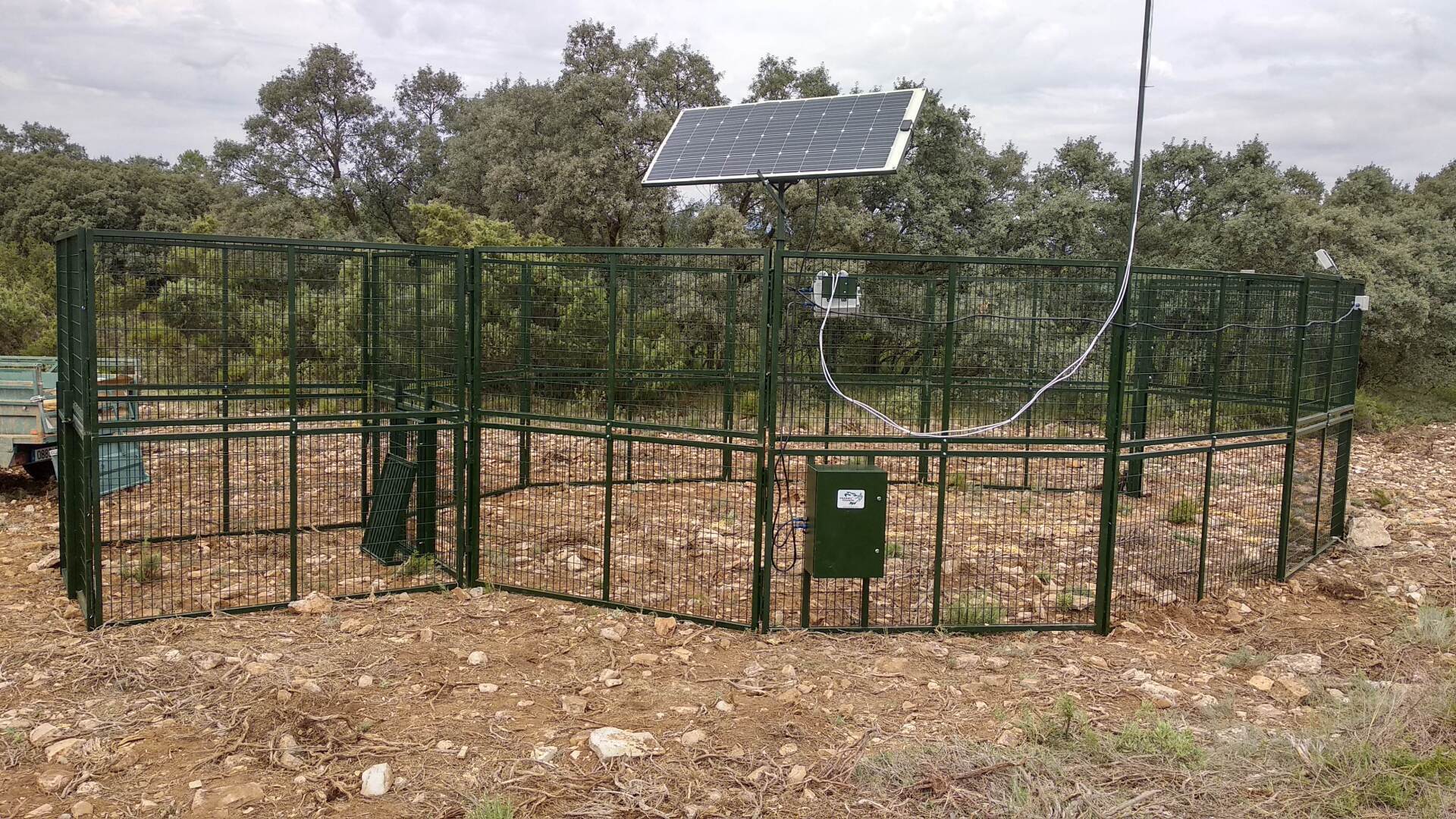 Un pueblo de Castellón instala trampas inteligentes contra jabalís para ... Un pueblo de Castellón instala trampas inteligentes contra jabalís para ...