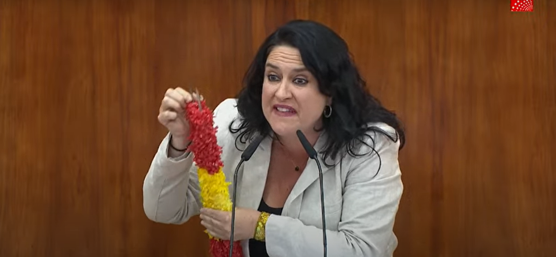 Una diputada de Más Madrid saca unas banderillas de toreo en el Pleno ...