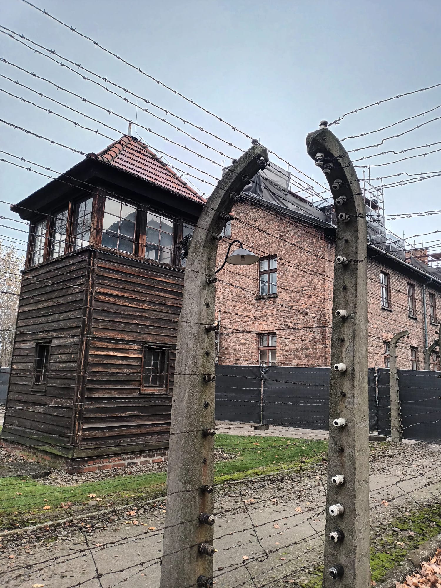 Auschwitz y el rastro de la muerte 80 años después: un Holocausto que ...