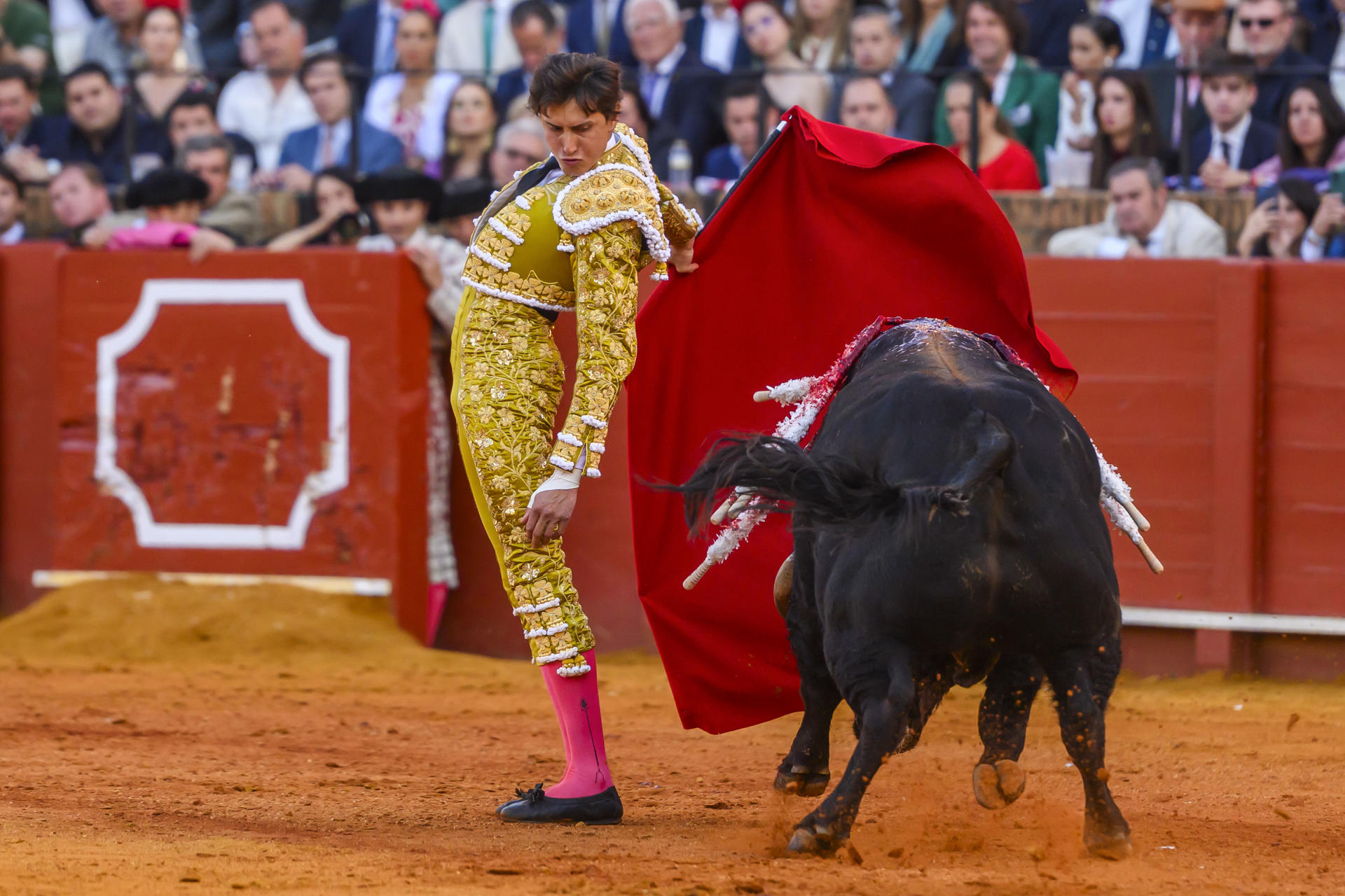 Puerta del Príncipe a David de Miranda, con un gran toro de El Parralejo