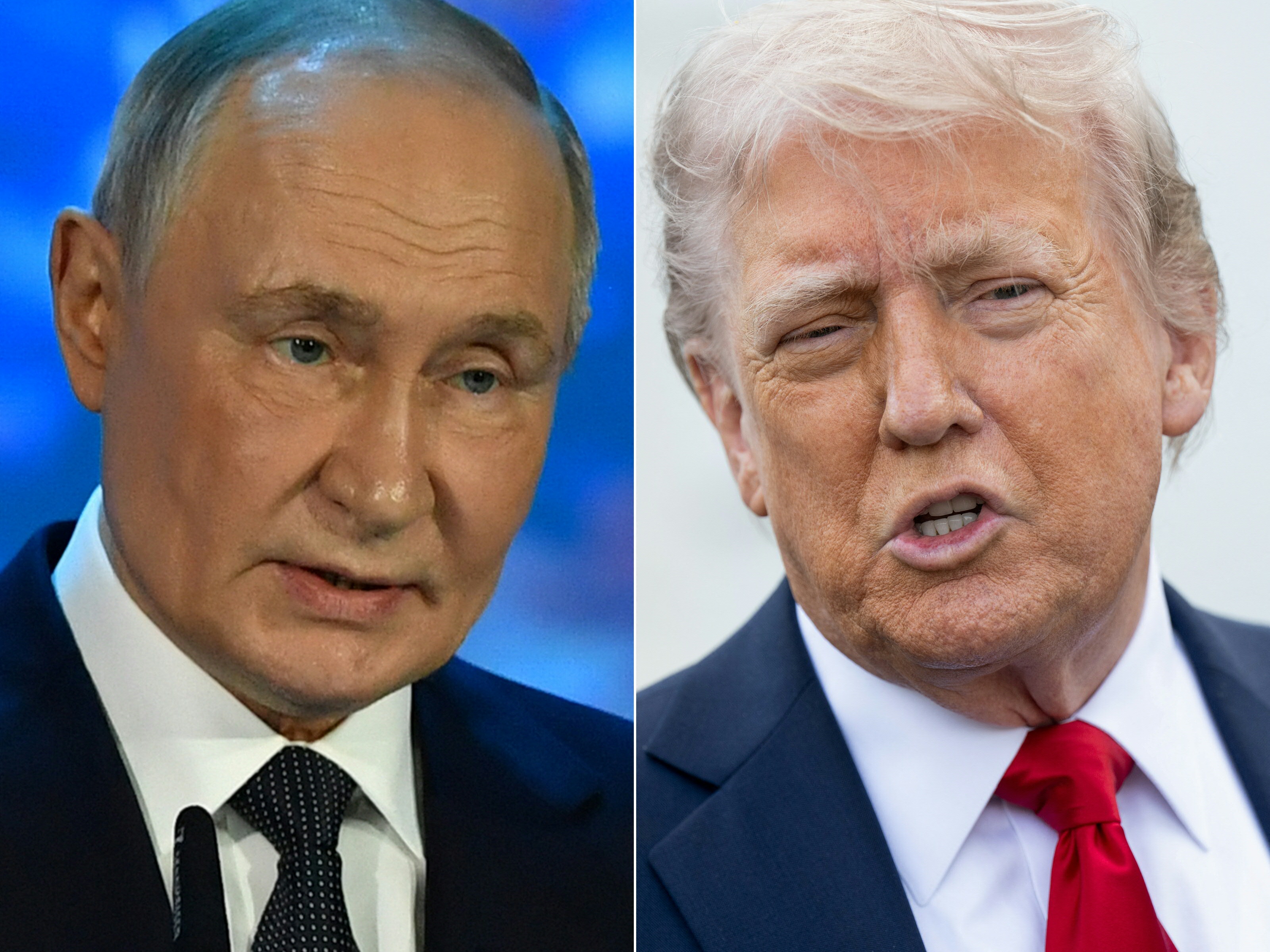 Putin se ofende con Trump y el Kremlin advierte: «No hay osos de papel ...
