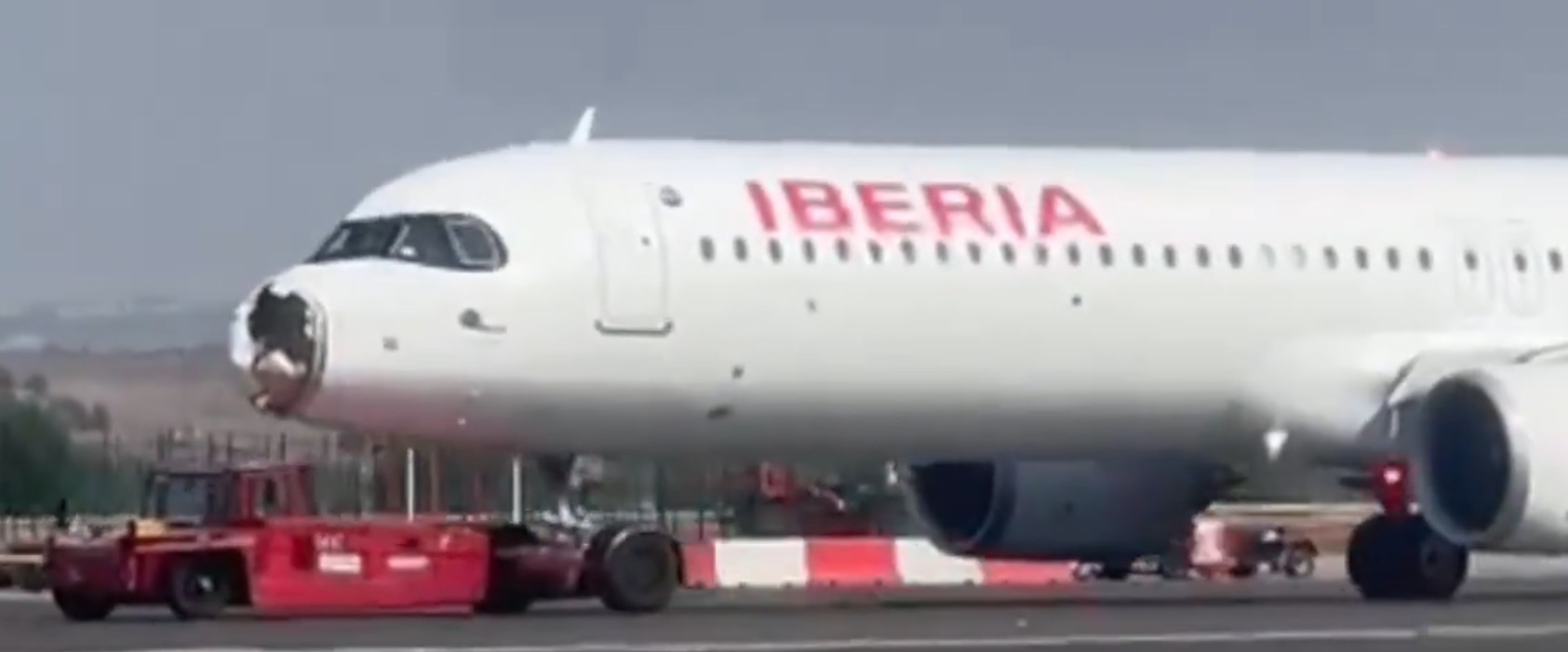 Un avión de Iberia con destino París, obligado a volver a Madrid tras chocar con un ave
